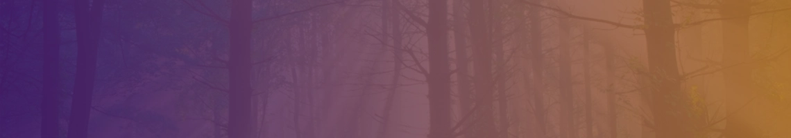 IBM Envizi : la solution de gestion carbone et de durabilité pour les ...