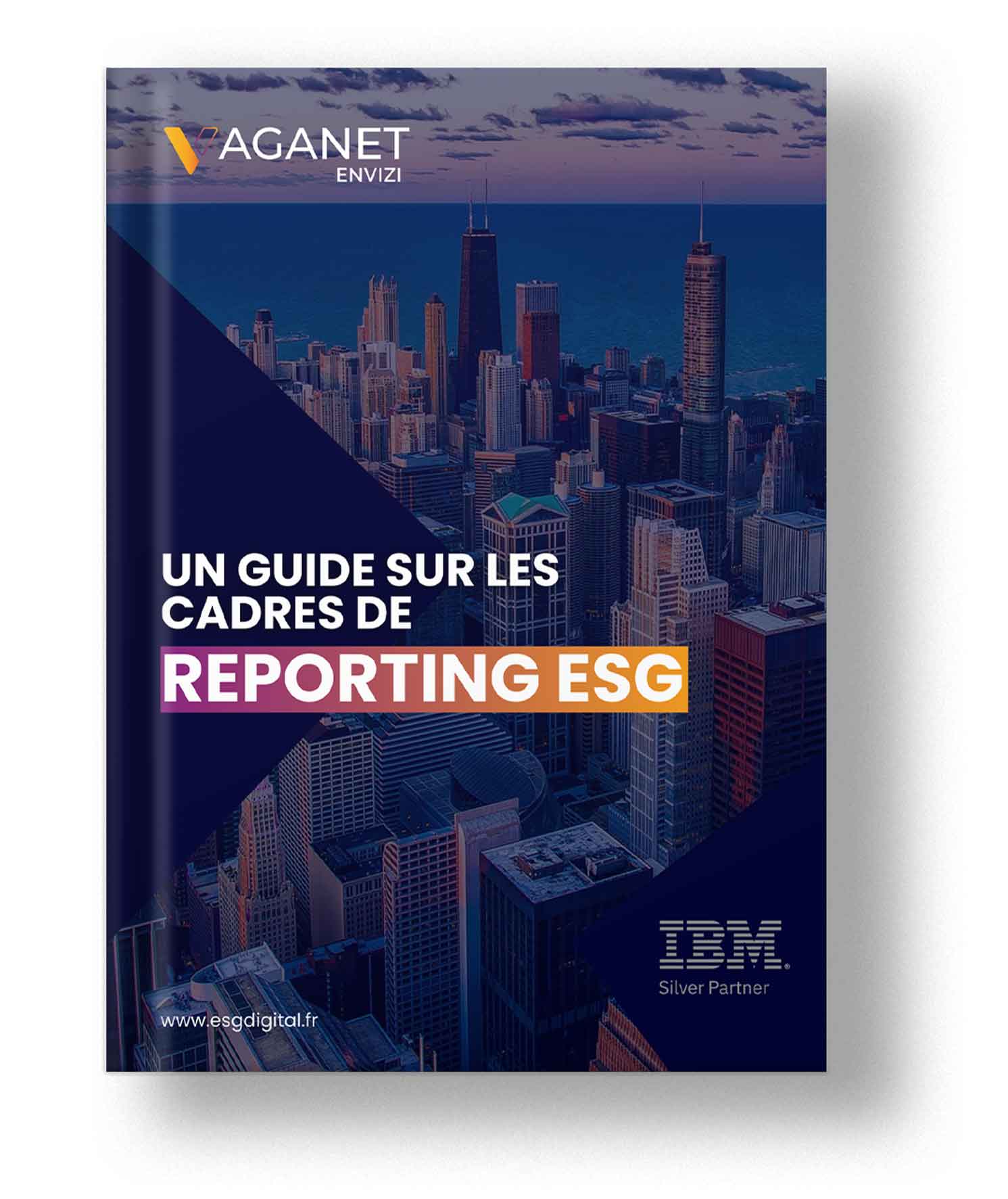 [ EBOOK] - Un Guide Sur Les Cadres De Reporting ESG